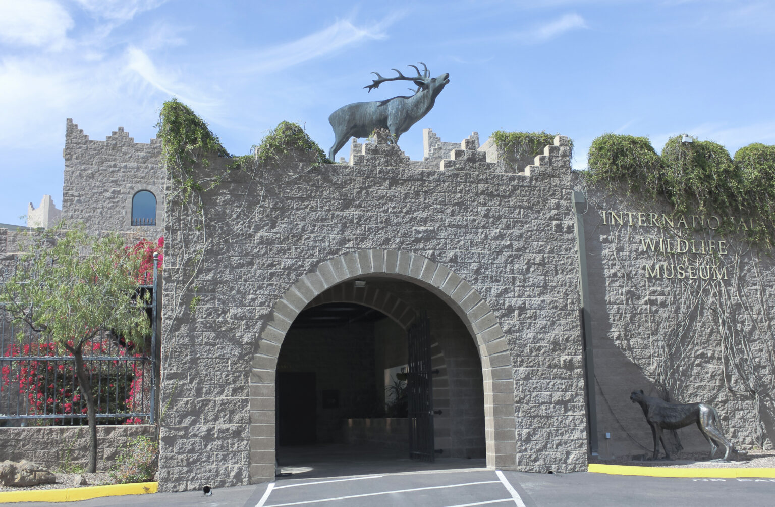 Phoenix/Tucson Pogo Pass: What You Get - Our Roaming Hearts